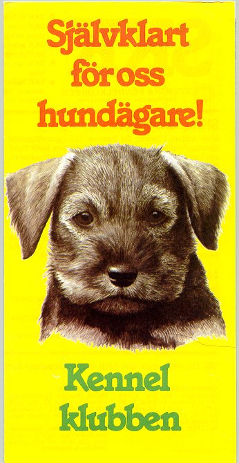 Svenska fågelkonstnärer