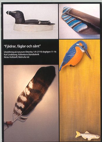 Tecknade fågelvykort