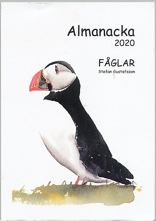 Tecknade fågelvykort