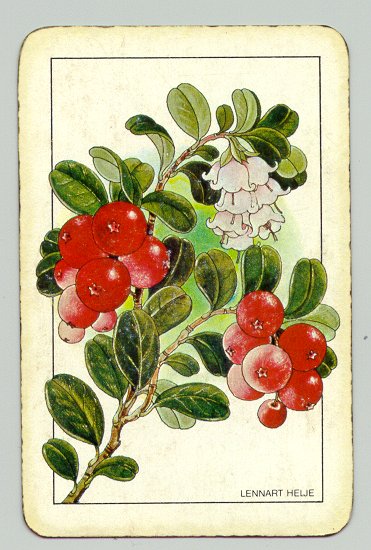 Svenska fågelkonstnärer